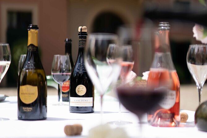 Guided Tour Cleto Chiarli with Lambrusco Tasting - Who Is This Tour Best For?