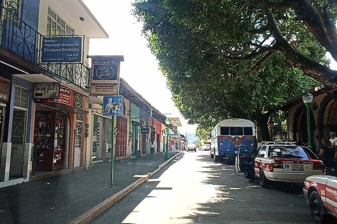 Guided Tour Coatepec Coffee Tour - Exploring Coatepec: A Deep Dive Into the Tour