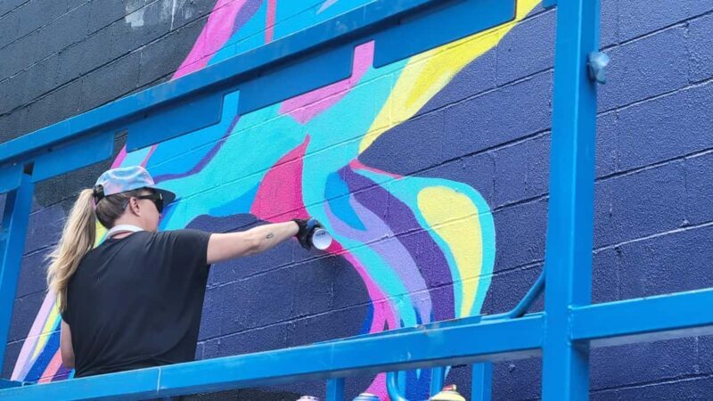 Guided tour in French of Brooklyn Bushwick and Williamsburg - Bushwick: Street Art Paradise