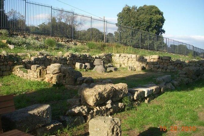 Guided Tour in Morgantina. Visit Morgantina. - Who Should Consider This Tour?