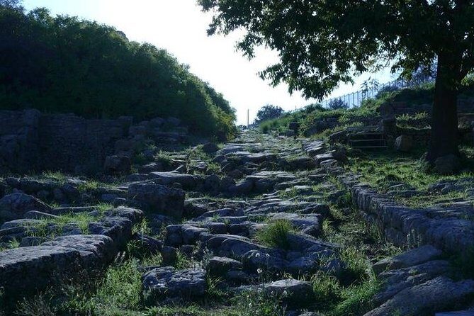 Guided Tour in Morgantina. Visit Morgantina. - Final Thoughts: Is It Worth It?