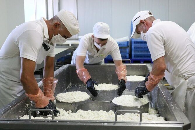 Guided Tour Montesdeoca Cheese Factory - Cheese and Wine Tasting - FAQ