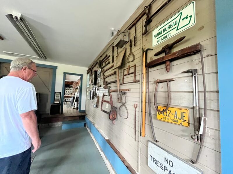 Guided Tour of a Local New England Cranberry Farm - How the Day Unfolds: A Step-by-Step Breakdown