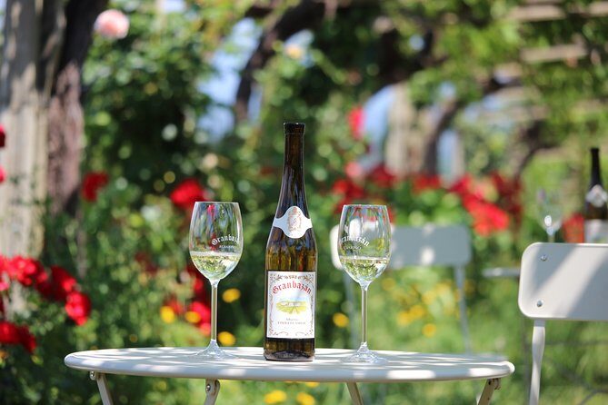 Guided tour of Bodegas Granbazán - Exploring the Bodegas Granbazán Tour in Detail