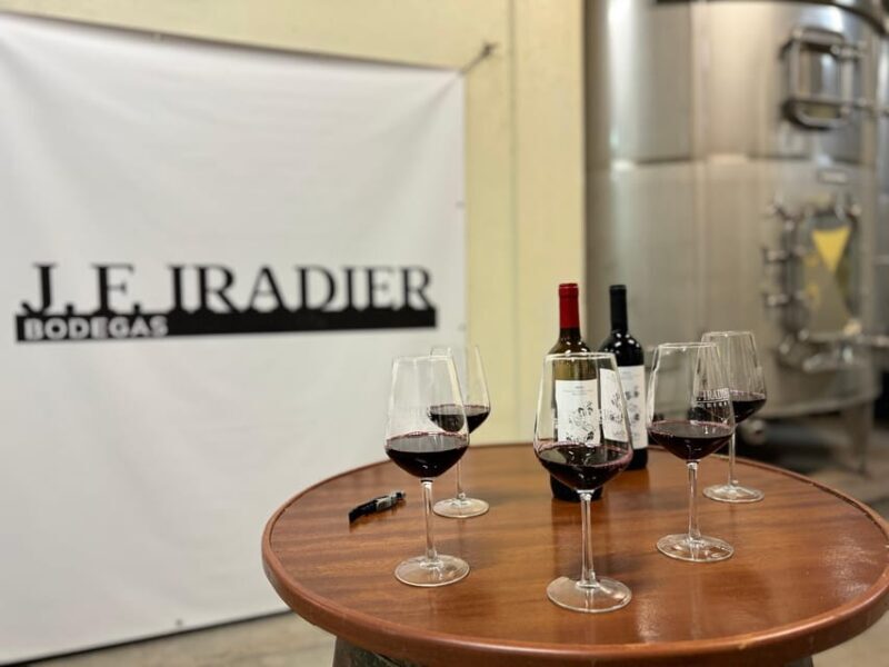 Guided tour of Bodegas J.F. Iradier, Rioja Alavesa - A Deep Dive into the Experience  