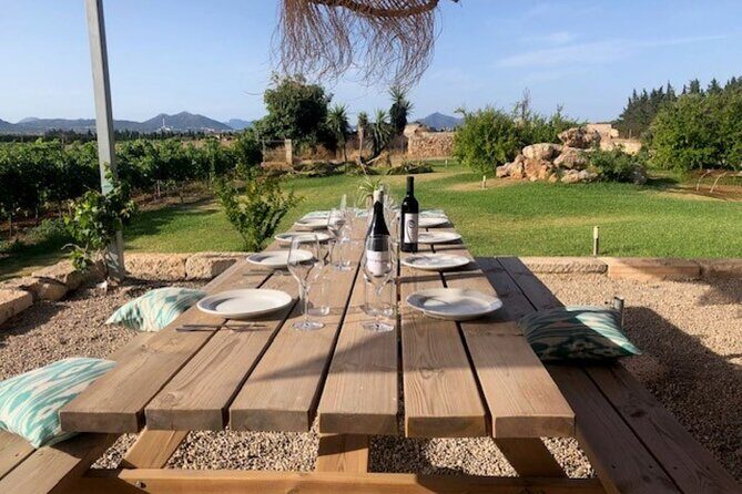 Guided tour of Butxet winery - Introduction