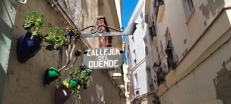 Guided tour of Cádiz in Spanish: stories from a local guide - The Value of a Local Guide