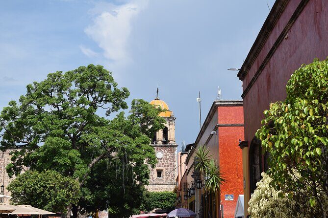 Guided Tour of Guachimontones and Tequila Distillery - Authentic Insights from Travelers
