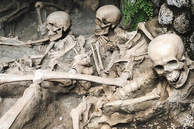 Guided Tour of Herculaneum with Lunch and Ticket Included - Is This Tour Right for You?