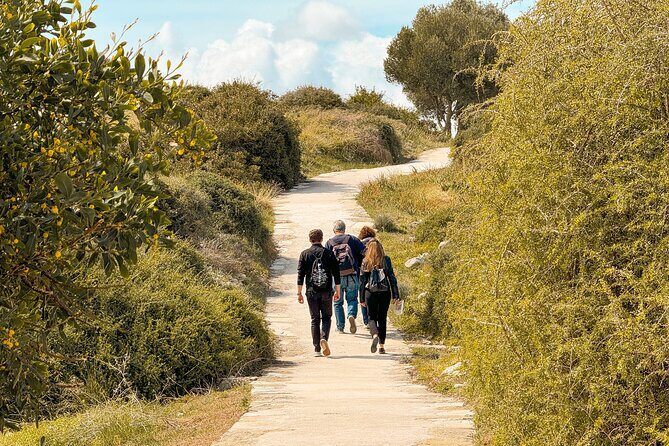 Guided Tour of Limassol with Kourion and Kolossi Castle - Practical Details and What It Means for You