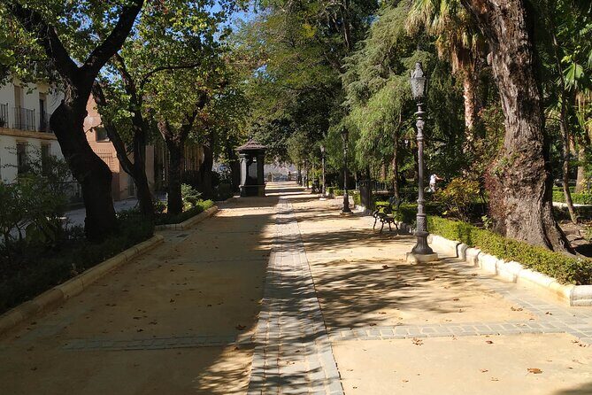 Guided tour of Ronda with an official guide - The Sum Up