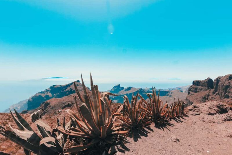 Guided tour of Roques de Garcia - Teide National Park - A Deep Dive into the Tour Experience