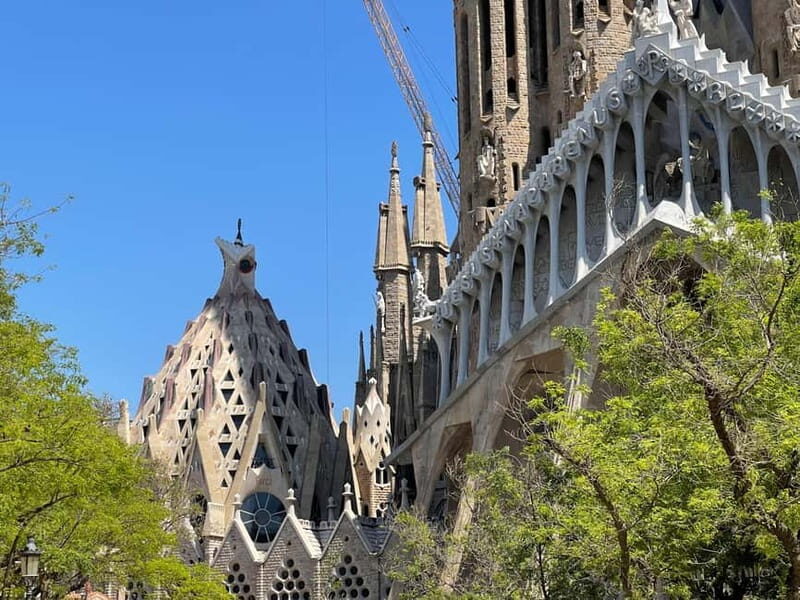 Guided Tour of Sagrada Familia - Gaudi's dream - Practical Tips for Your Visit