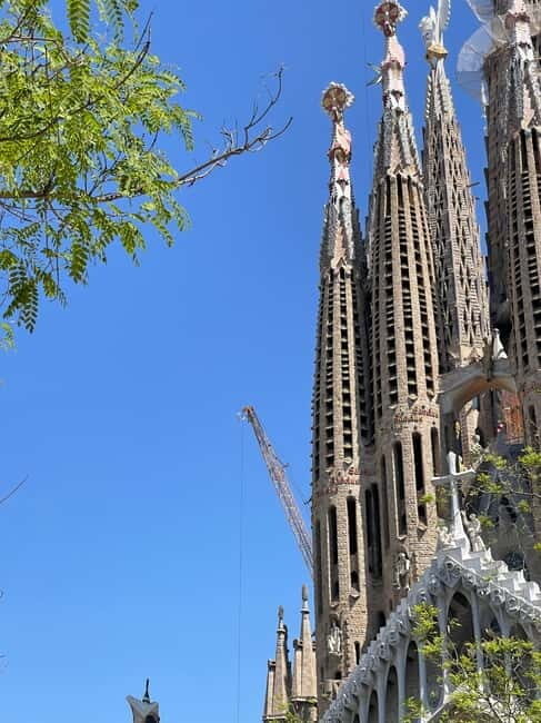 Guided Tour of Sagrada Familia - Gaudi's dream - Who Will Love This Tour?