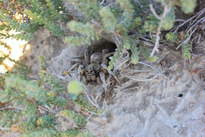Guided tour of the Bardenas Reales de Navarra by 4x4 - A Closer Look at the Itinerary