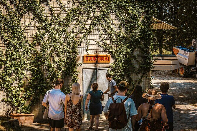 Guided tour of the cellars with wine tasting and lunch - Who Will Love This Tour?