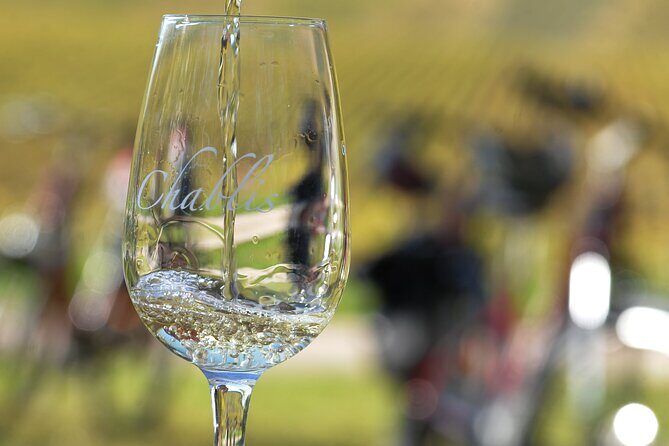 Guided tour of the Chablis Vineyards by e-bike - Key Points