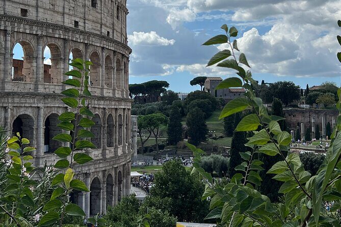 Guided tour of the Colosseum (semi-private) - Key Points