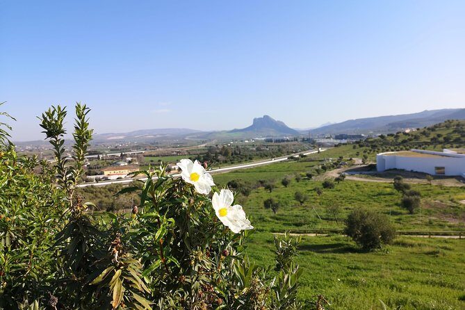 Guided tour of the Dolmens and El Torcal - Final Thoughts