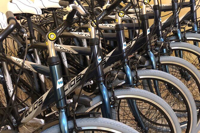 Guided Tour of the Historic Attractions of Lecce Private - How the Tour Runs and What You Can Expect