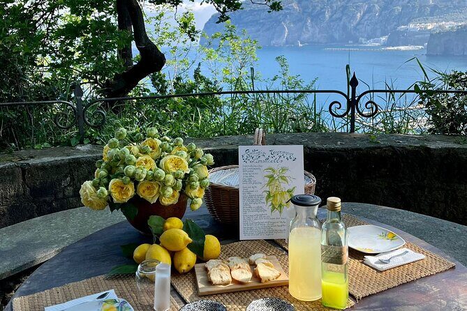 Guided tour of the history and tradition of the Sorrento lemon - Exploring Sorrento’s Lemon Heritage: A Detailed Review of the Guided Tour