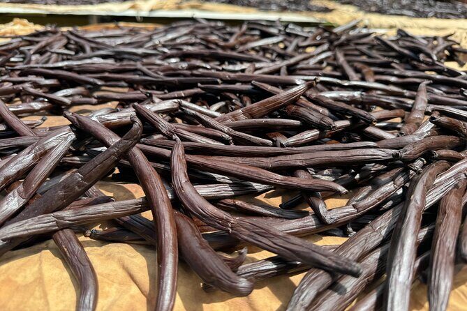 Guided tour of the island and its escapades in Tahaa by Quad / ATV - The Sum Up