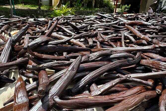 Guided tour of the island and its escapades in Tahaa by Quad / ATV - FAQ