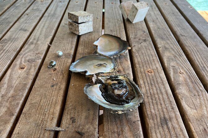 Guided tour of the island of Tahaa with Revanui Excursions - The Sum Up