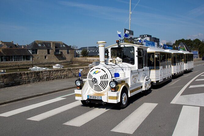 Guided tour of the Megalithic Site of Carnac - A Deep Dive into the Carnac Guided Tour