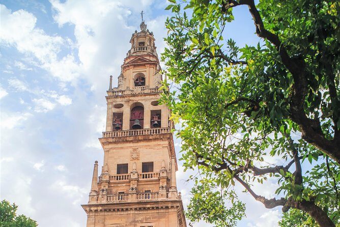 Guided tour of the Mosque with entrance included - Final Thoughts