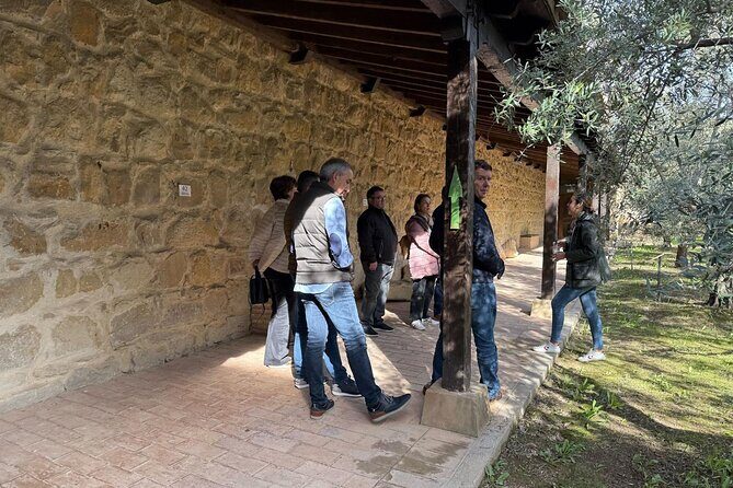 Guided tour of the Museum of Olive Culture Oil Tasting - The Itinerary in Detail