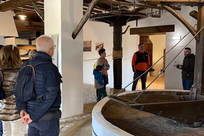 Guided tour of the Museum of Olive Culture Oil Tasting - Why This Tour Is Worth It