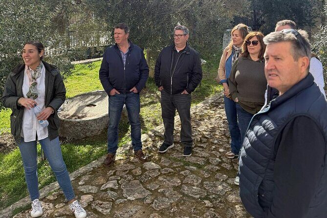 Guided tour of the Museum of Olive Culture Oil Tasting - Who Should Consider This Tour?