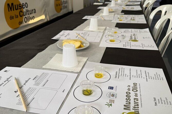 Guided tour of the Museum of Olive Culture Oil Tasting - Final Thoughts