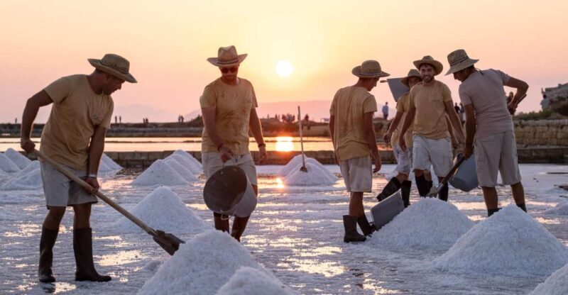 Guided tour of the Trapani Salt Pans and Salt Museum - Practical information and tips