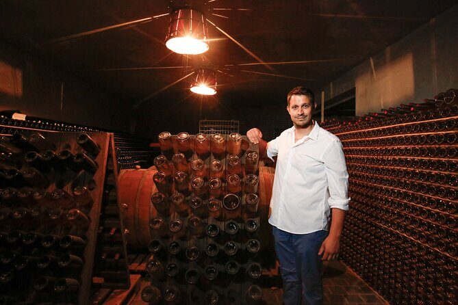 Guided tour of vineyards and winery with tasting 4 wines - Key Points