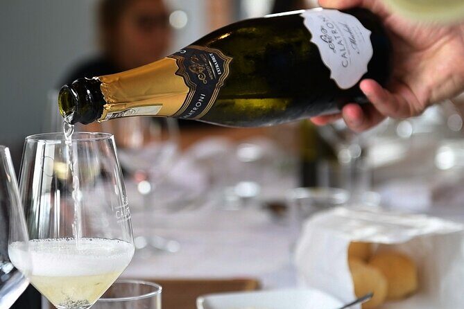 Guided tour of vineyards and winery with tasting 4 wines - Final Thoughts