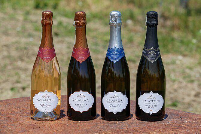 Guided tour of vineyards and winery with tasting 4 wines - Frequently Asked Questions