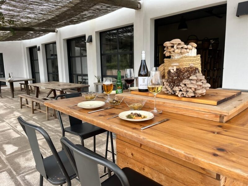 GUIDED TOUR + TASTE IN A MUSHROOM FARM - Key Points