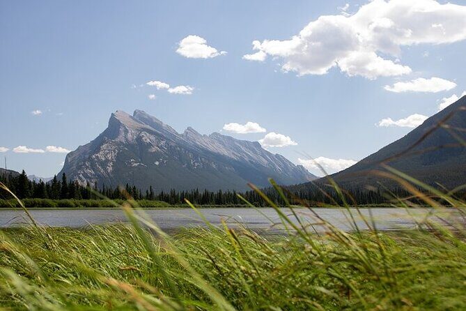 Guided Tour to Banff Highlights & Wildlife With Gondola Admission - The Sum Up