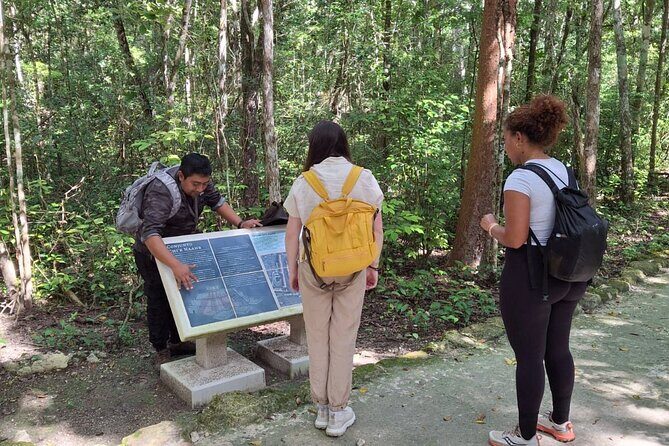 Guided Tour to Calakmul and Jungle Trail | From Bacalar. - An In-Depth Look at the Calakmul Jungle and Ruins Tour