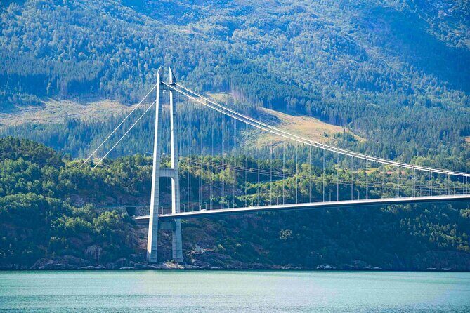 Guided tour to Hardangerfjord with Waterfalls and Ferry Crossing - Who Will Love This Tour?