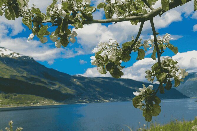 Guided tour to Hardangerfjord with Waterfalls and Ferry Crossing - Final Thoughts