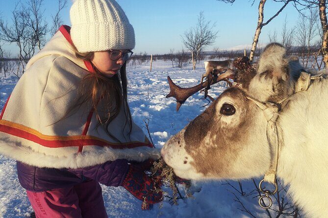 Guided Tour to Icehotel and Jukkasjärvi - Key Points
