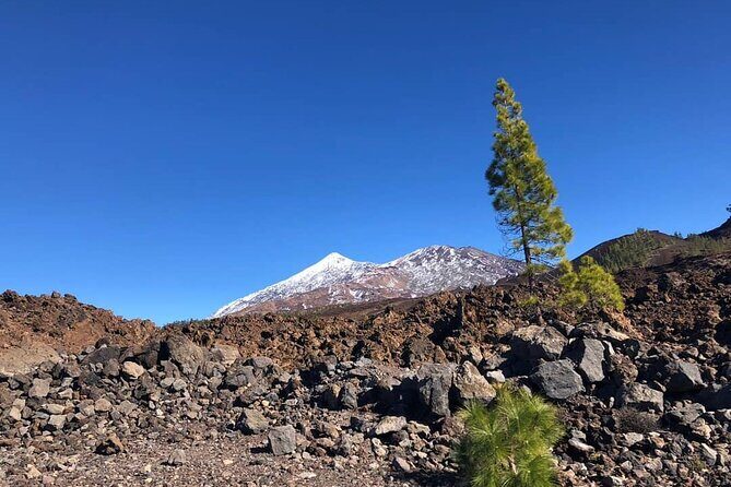 Guided Tour to Teide National Park in Tenerife - Key Points