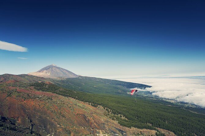 Guided Tour to Teide National Park in Tenerife - Who Will Love This Tour?