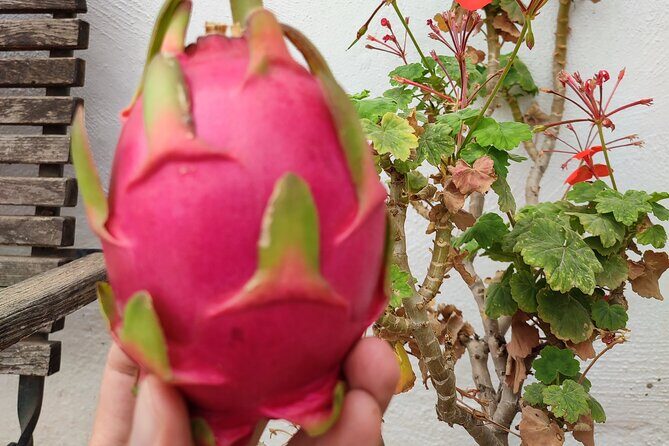 Guided Tour to the only coffee farm in Europe - FAQs