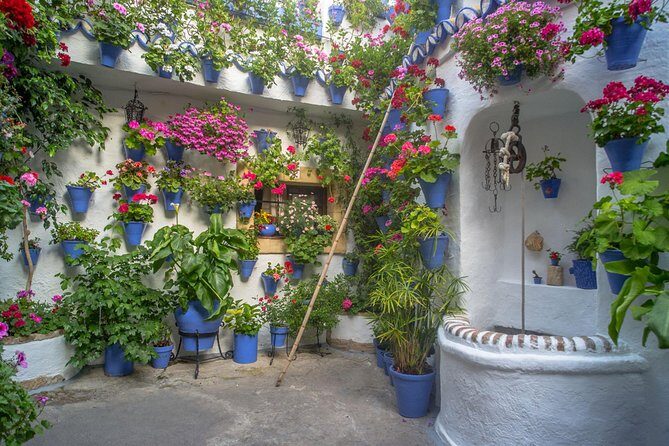Guided Tour to the Popular Patios of Cordoba - Who Will Love This Tour?