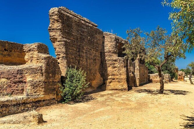 Guided tour to the Valley of the Temples of Agrigento from Cefalù - Practical Tips for Travelers