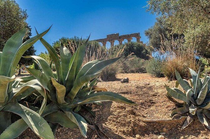 Guided tour to the Valley of the Temples of Agrigento from Cefalù - The Sum Up